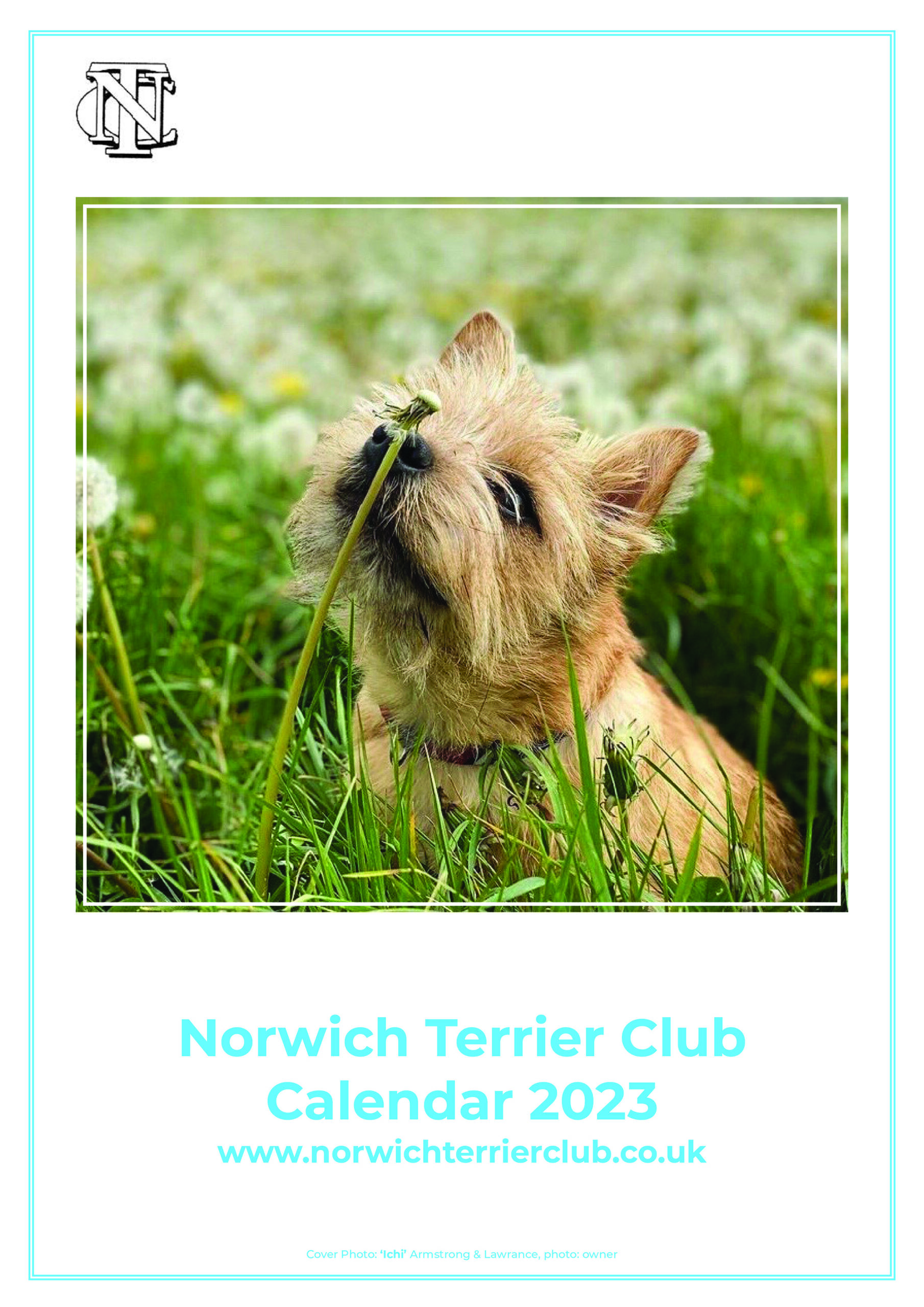 NTC 2023 Calendar is now available! – Norwich Terrier Club